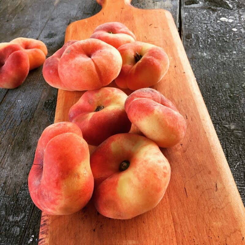 Peach and Almond Cream Tart